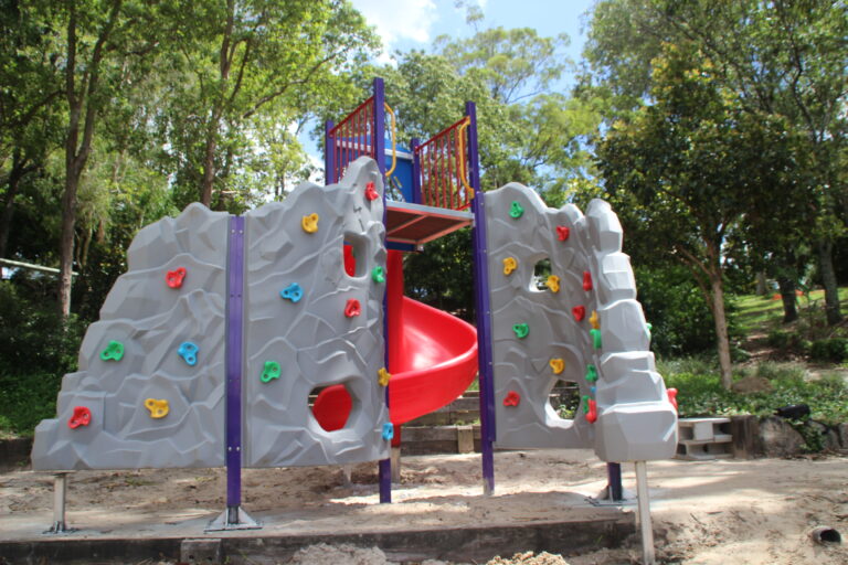 Scaling New Heights: Unleashing the Power of Climbing for Children's ...